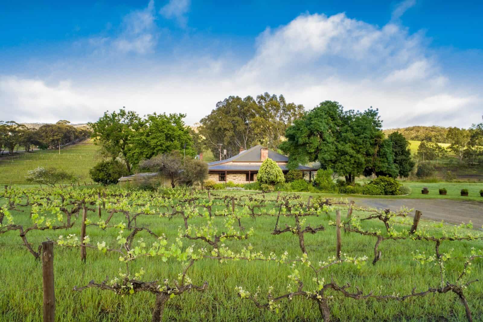 Visit the Clare Valley – Skillogalee