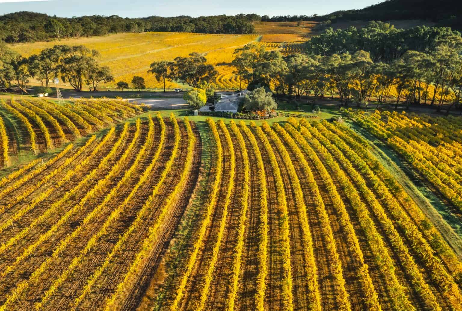 About Skillogalee – Clare Valley, South Australia